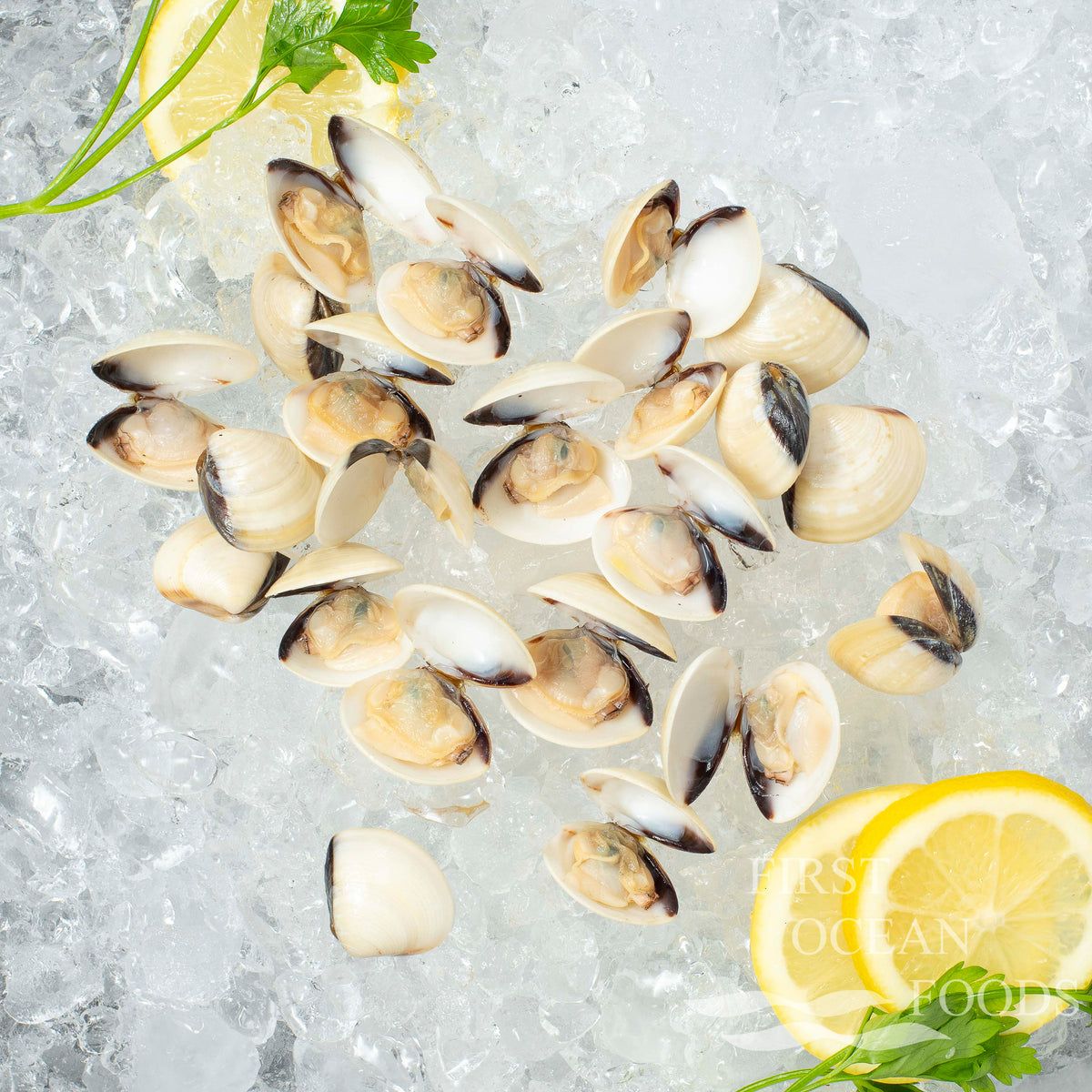 Frozen White Clam - 1kg – First Ocean Foods